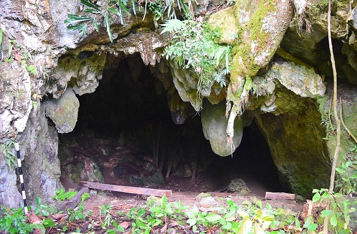 Temuan Fosil dan Banyak Lukisan Gambar Manusia Mengangkang di Goa Lida ...