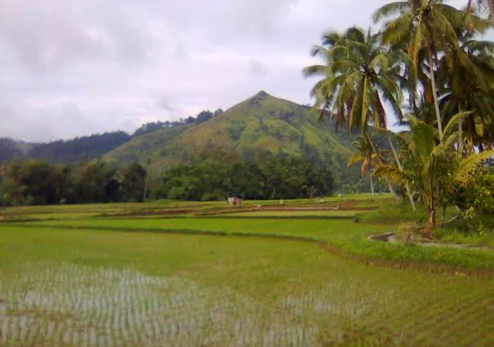 Bukit Nyunyuang di Guguak Kabupaten Limapuluh Kota, Bentuknya Terlihat ...